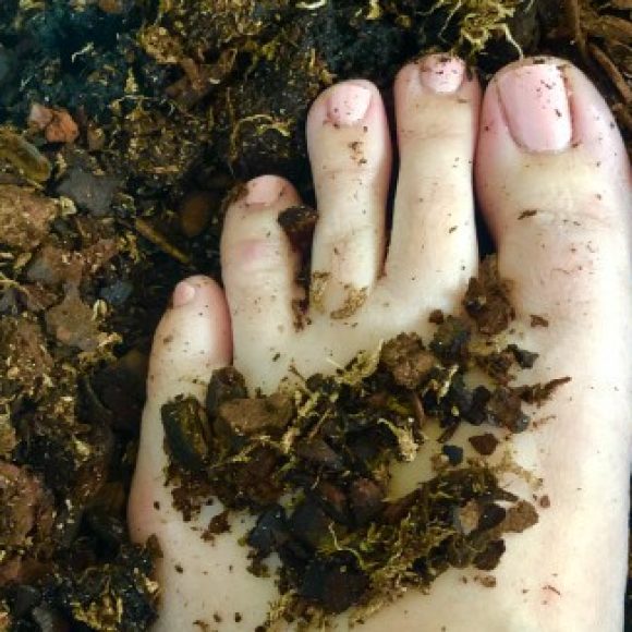 Timeline – Isabella – Feetify.com