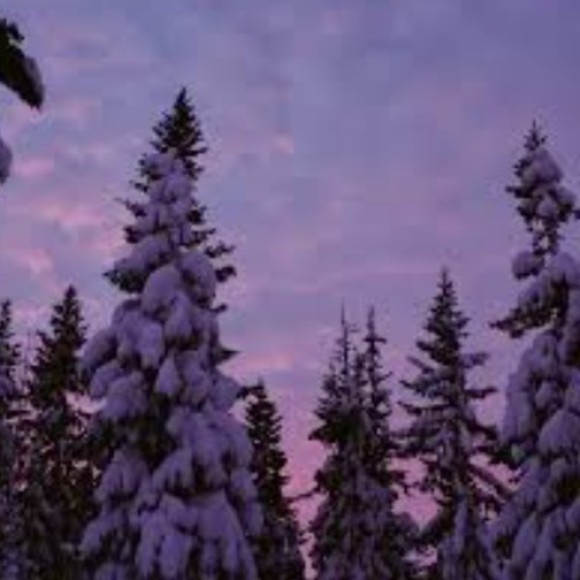 Anna – Feetify.com