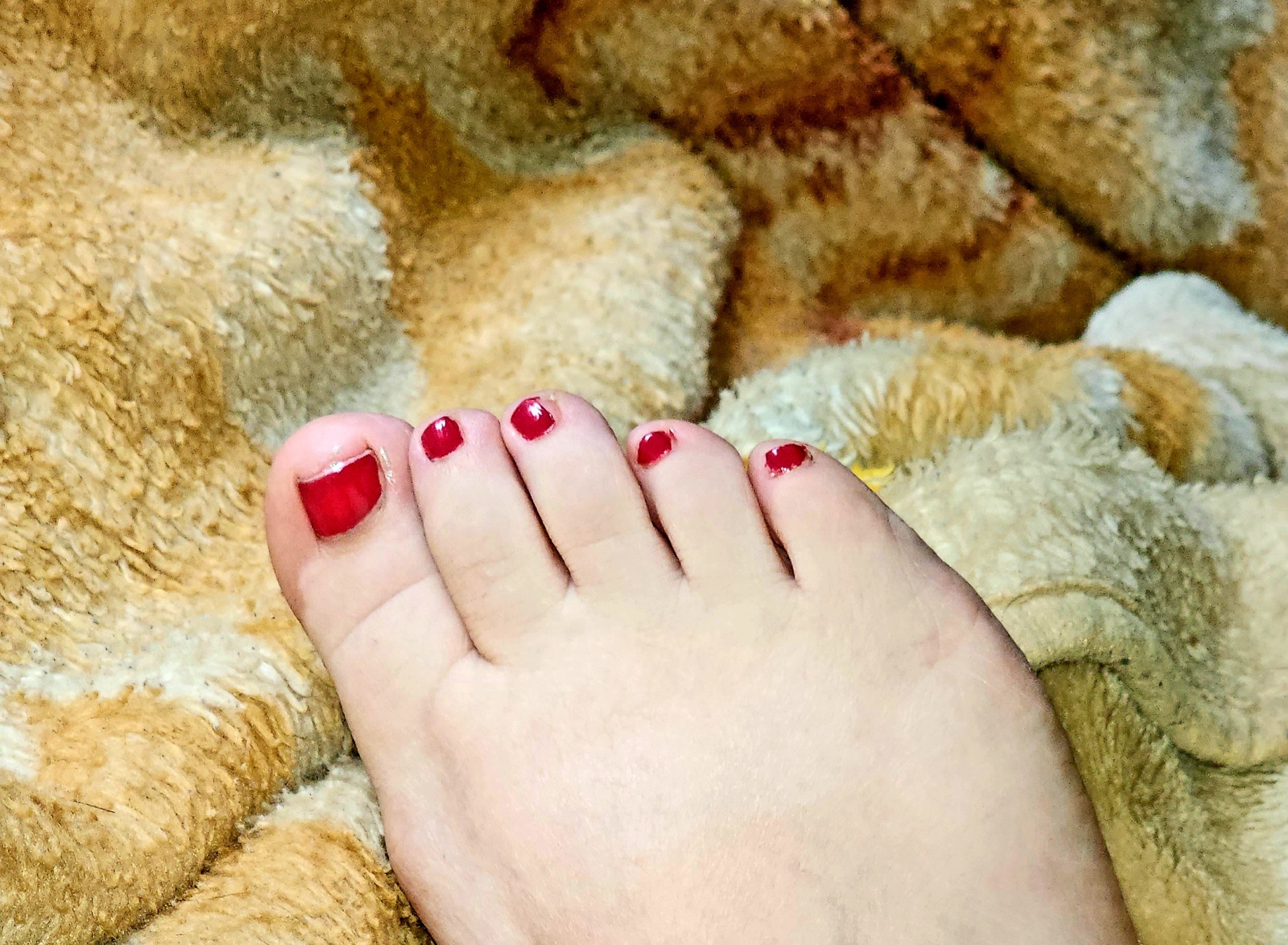 Danyelle – Feetify.com