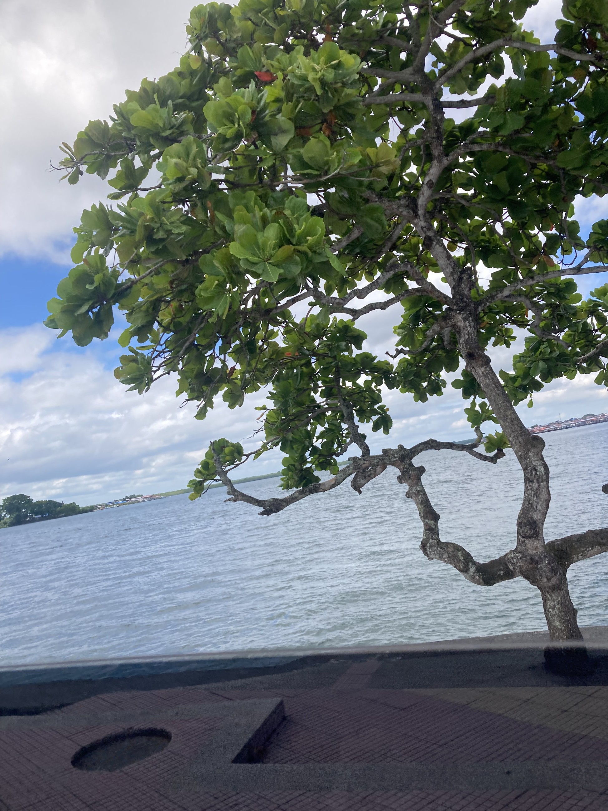 Media – Sara – Feetify.com