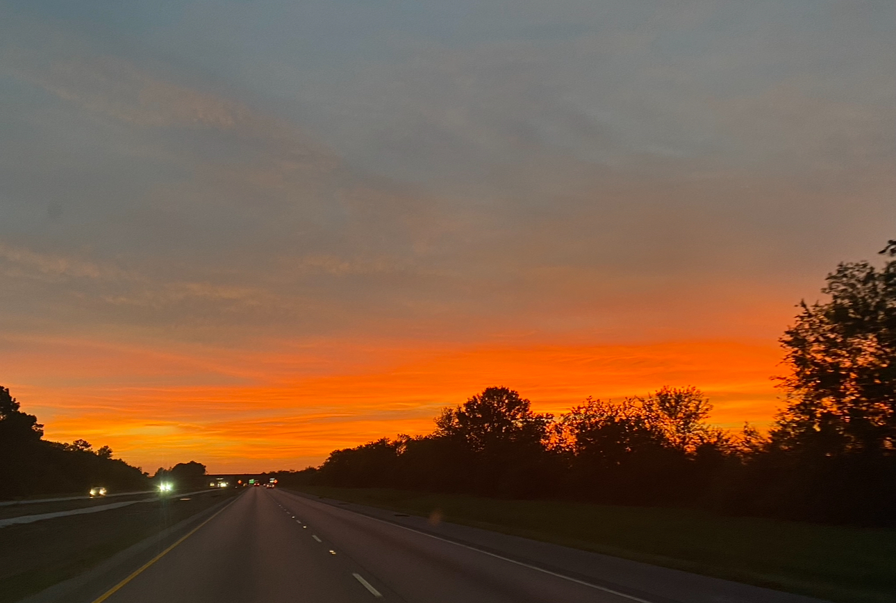 Timeline – Sue – Feetify.com