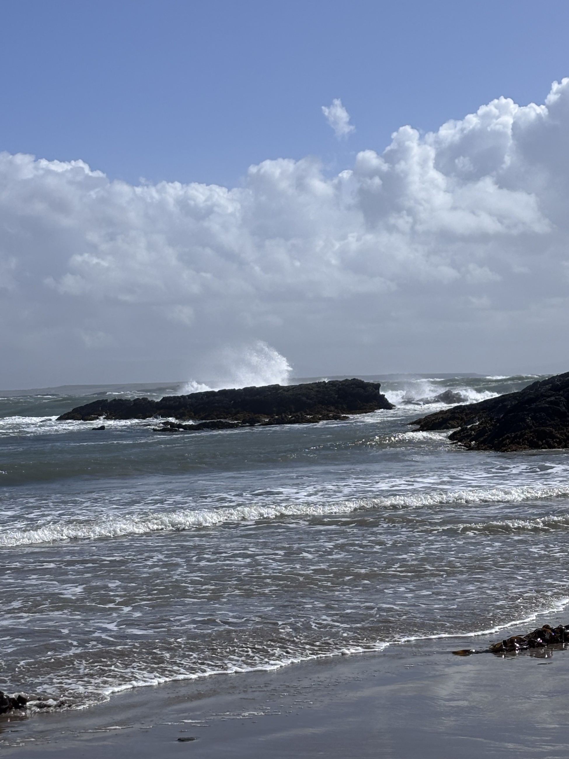 Dolly – Feetify.com