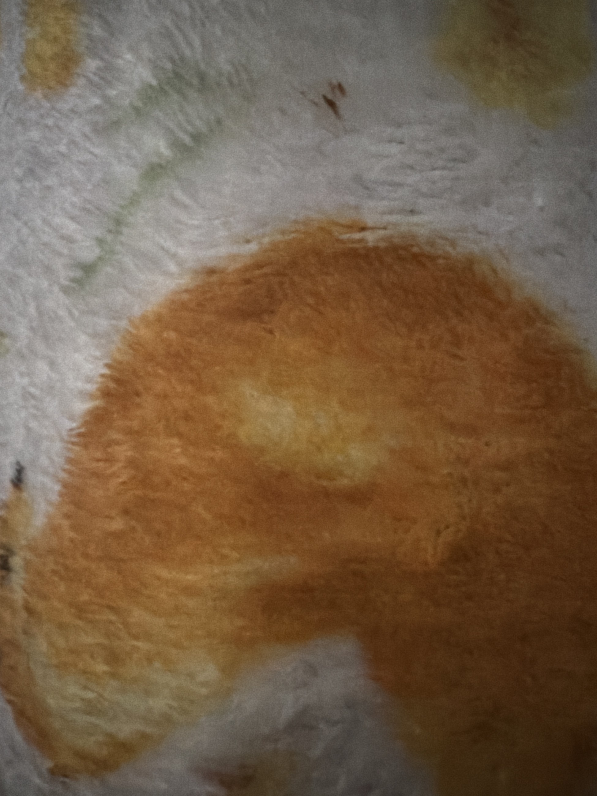 Rachel – Feetify.com