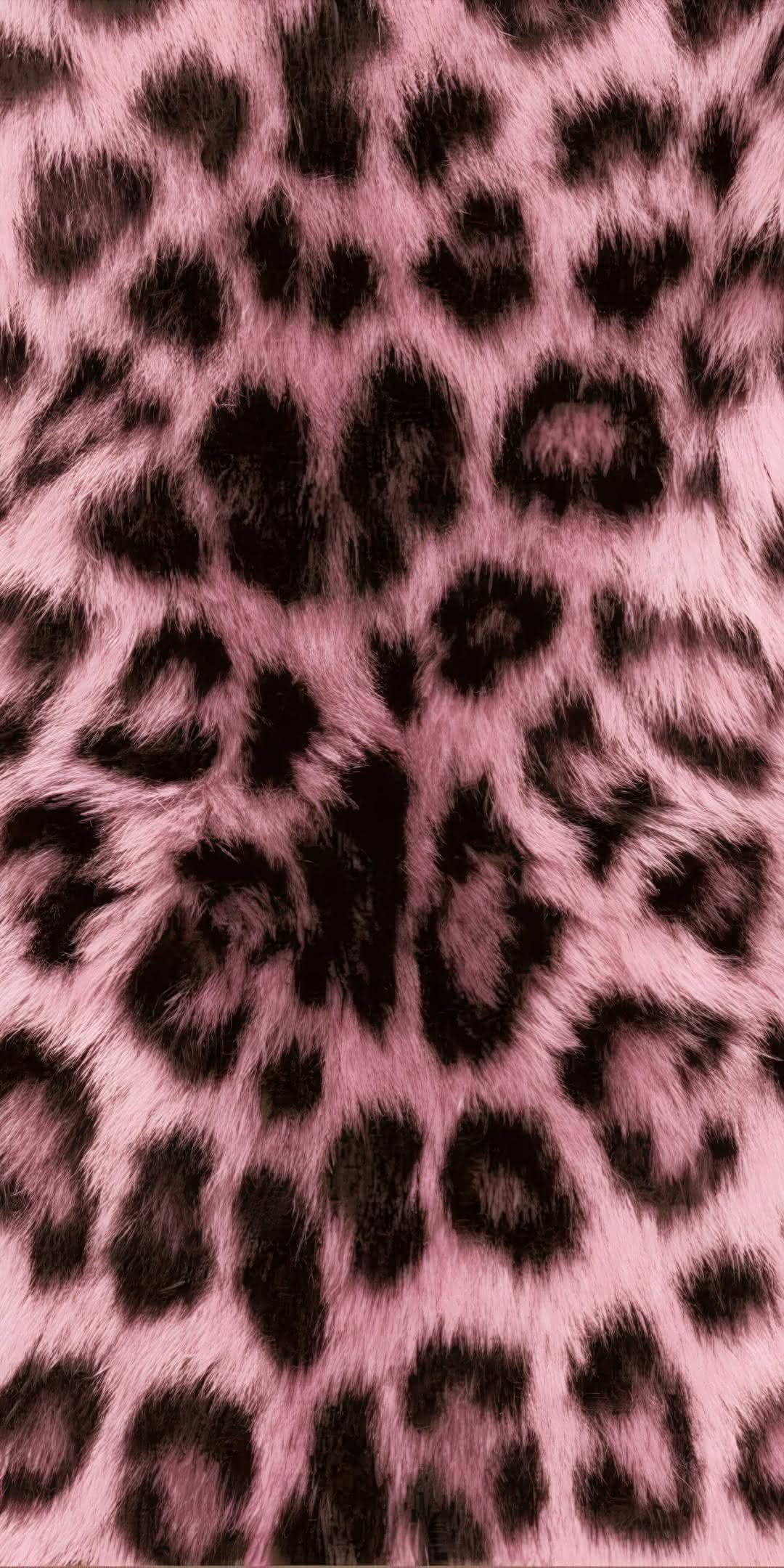 Lanie – Feetify.com