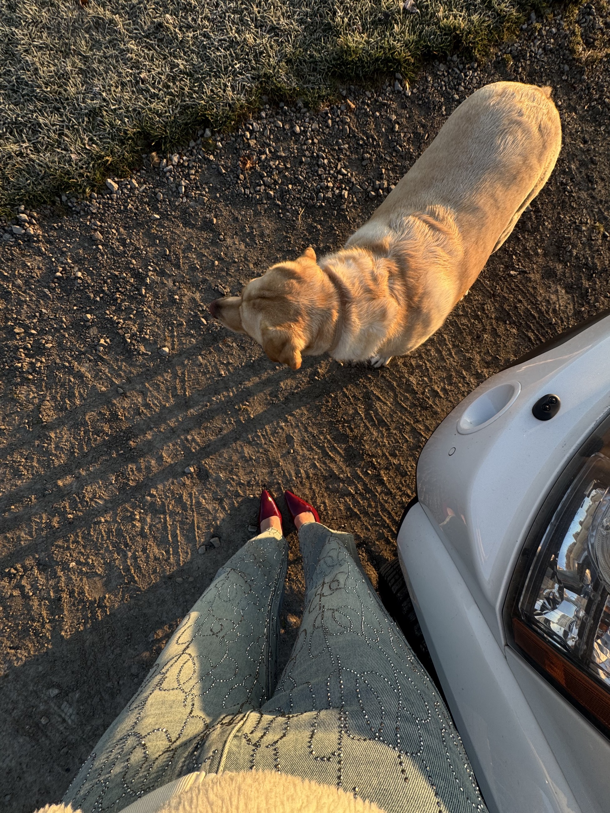 Katherine – Feetify.com